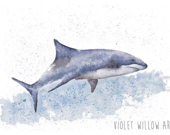 Shark watercolor | Etsy