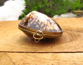 Shell coin purse | Etsy