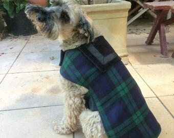 Dog kilt | Etsy