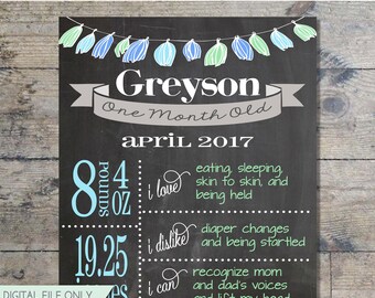 Baby month signs | Etsy