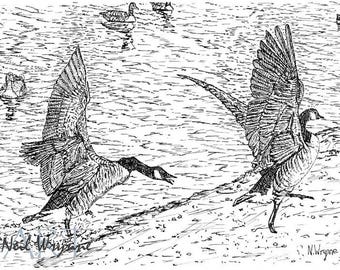 Goose illustration | Etsy