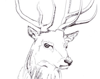 Stag head print | Etsy