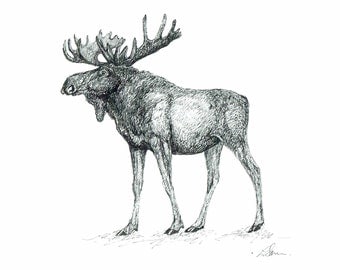 Moose drawing | Etsy