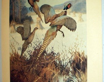 Field stream prints | Etsy