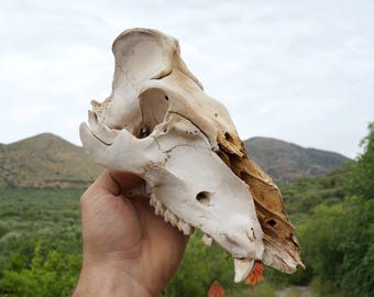 Gothic statue | Etsy