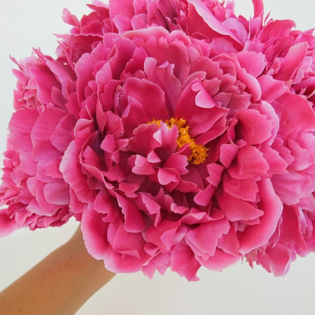 Flowersfield on Etsy