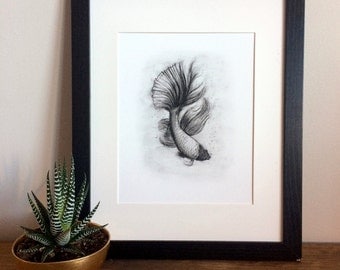 Fighting fish | Etsy