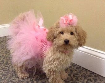 Dogs in tutus | Etsy