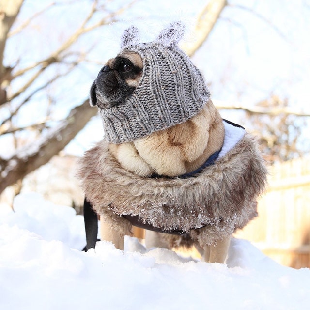 All You Need is Pug: Dog Hats Pug Hats and by AllYouNeedIsPugShop