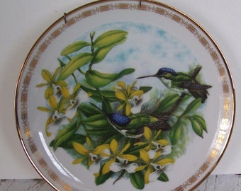 Hummingbird plates | Etsy