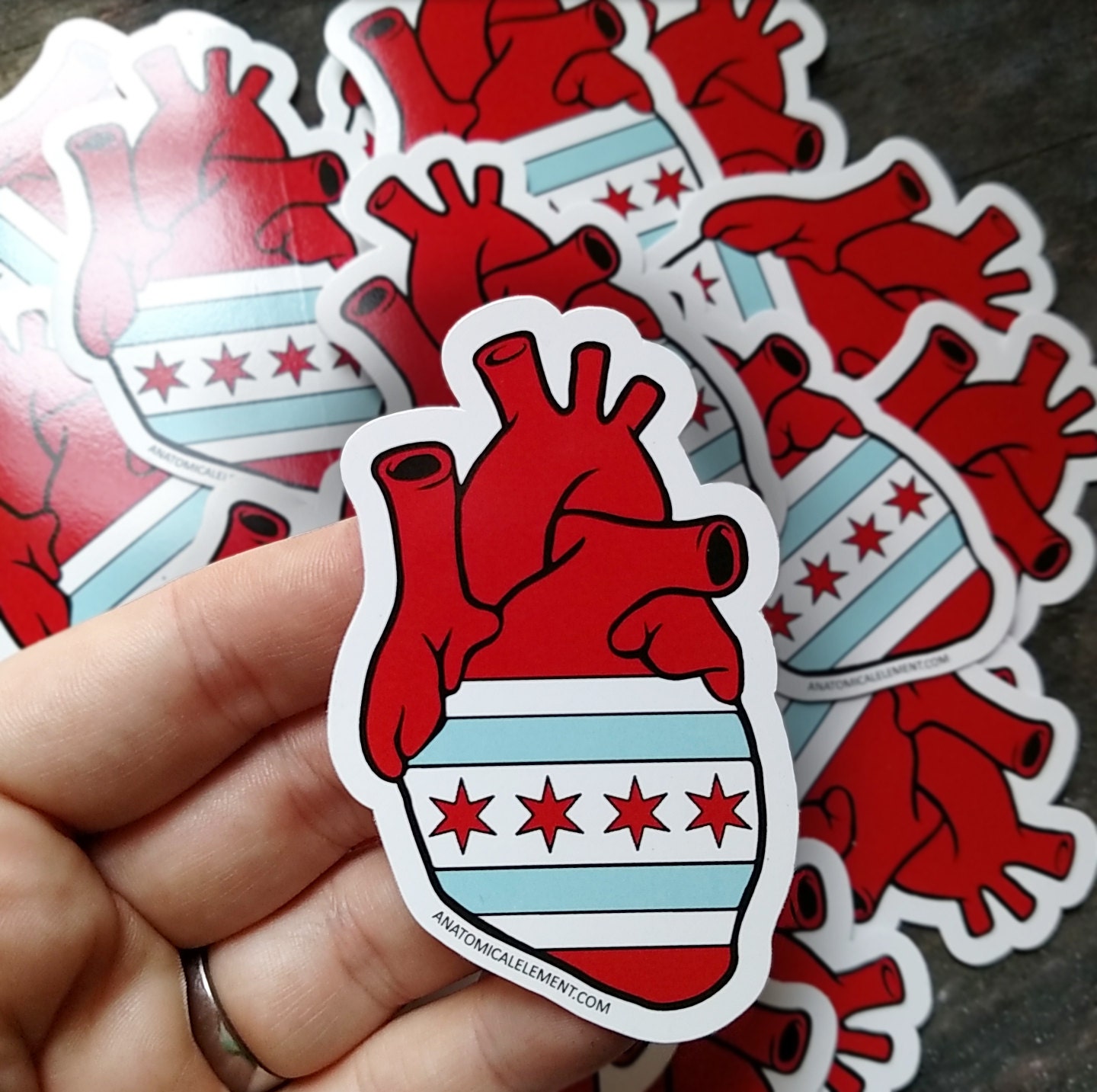 Chicago Flag Anatomical Heart die cut sticker