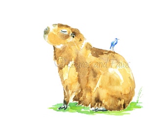 Capybara art | Etsy