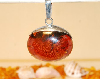 Amber pendant | Etsy