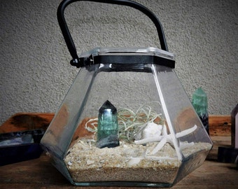 Terrarium decor | Etsy