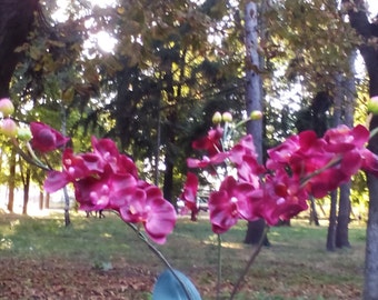 Unique orchid pot related items | Etsy