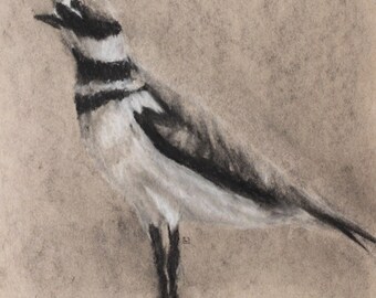 killdeer – Etsy