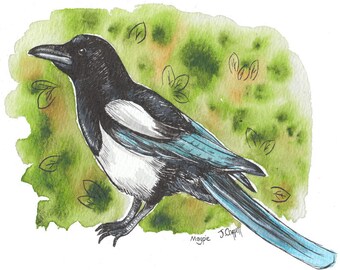 Magpie drawing | Etsy