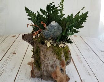 Moss centerpieces | Etsy