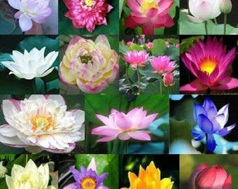 Large planter | Etsy