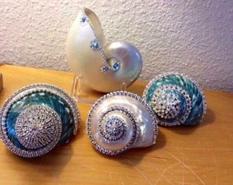 Elegant Jeweled & Seashell Decor for Home & Weddings by ShellDecor