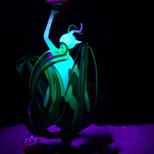 Lampworked Glass Creatures made by Wesley Fleming by vetropod