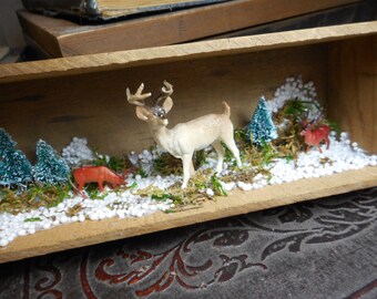 Nature diorama | Etsy