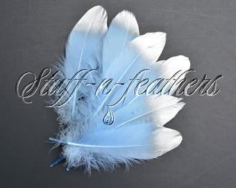 Feathers Painted & Natural Millinery & Craft by Stuffnfeathers