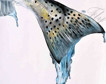 Redfish illustration | Etsy