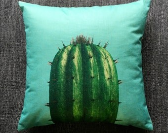 Cactus pillow | Etsy