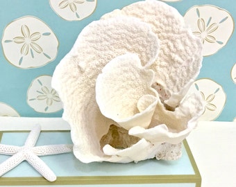 Beach Decor for the Home Weddings and Events by SeashellCollection