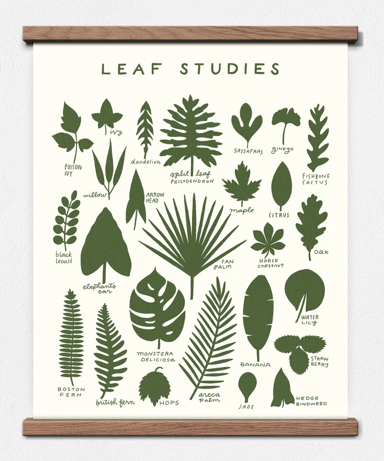 Leaf Studies 16 x 20 Screen Print
