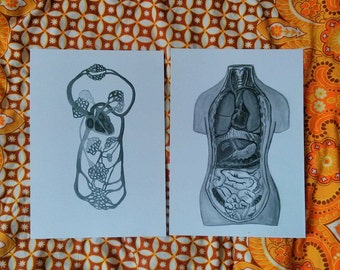 Vintage Medical Illustration Wound Man Antique