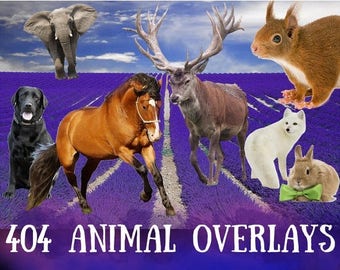 Animal overlays | Etsy