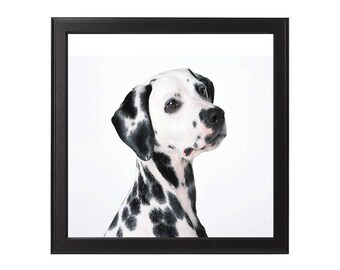 Dalmatian wall art | Etsy