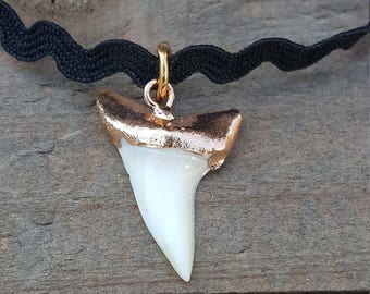Shark tooth choker | Etsy