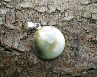 Operculum jewelry | Etsy