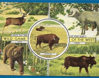 Wild west postcard | Etsy