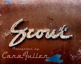 International scout | Etsy