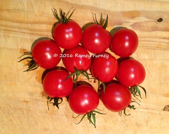 Fox cherry tomato | Etsy