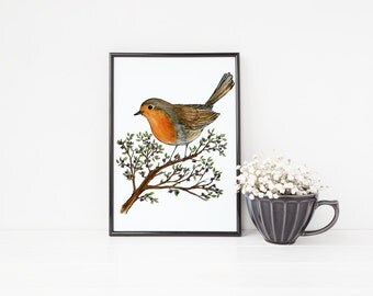 European robin | Etsy