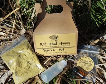 Henna tattoo kit | Etsy