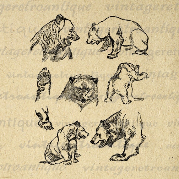 Printable Digital Antique Bear Collage Sheet Graphic Blackbear