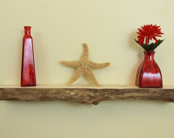 Nautical shelf | Etsy