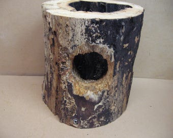 Hollow log slice | Etsy