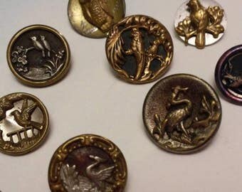 1800s buttons | Etsy