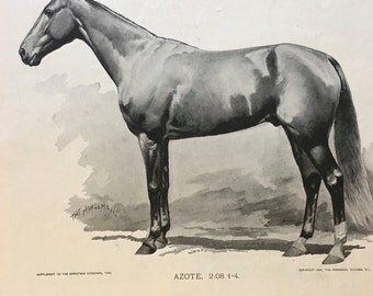 Harness racing art | Etsy