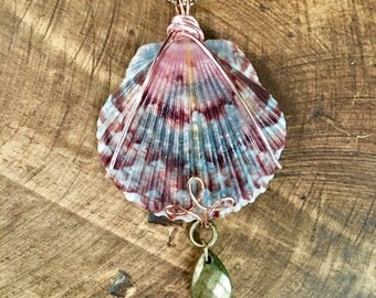 Items similar to small conch sea shell wire wrapped necklace on Etsy