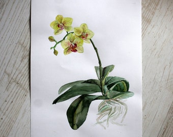 Orchid painting | Etsy