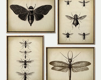 Wasp print | Etsy