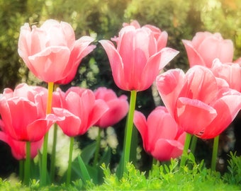 Tulips and Spring Flowers Whimsical Colorful Folk Art Giclee